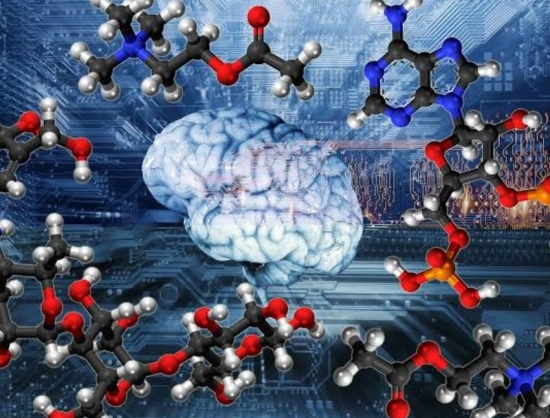 GeneQuantum Healthcare and Aimed Bio collaborate to develop five ...