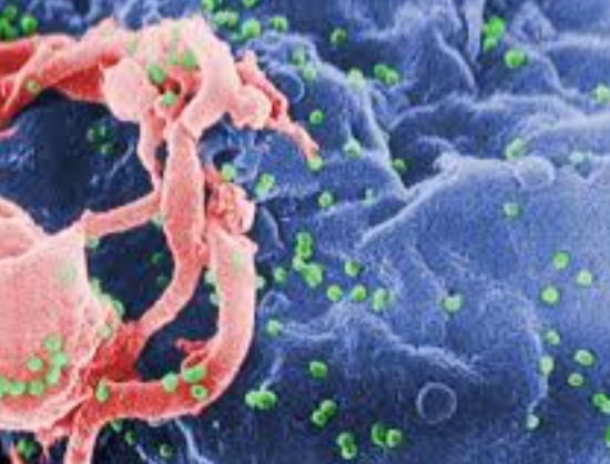 Aurobindo to launch HIV triple combination product for children living ...