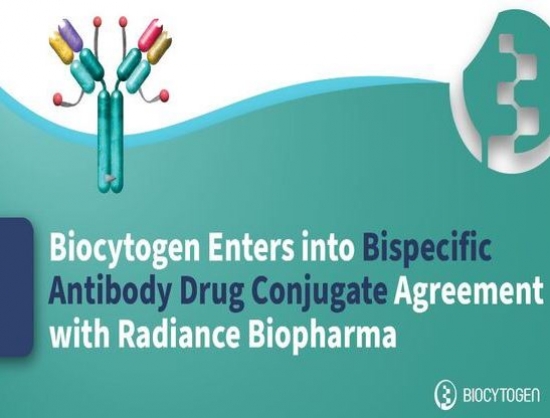 Biocytogen Enters into Bispecific Antibody Drug Conjugate Agreement ...