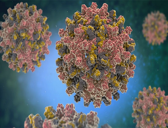 Nucleus RadioPharma Receives Series A Extension Funding from ...