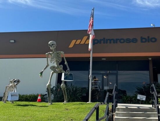 Primrose Bio Launches Prima RNApols ExTend to Enhance mRNA Vaccine ...