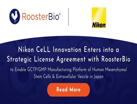 Nikon CeLL Innovation Enters into Strategic Licensing Agreement with RoosterBio - Global Pharma