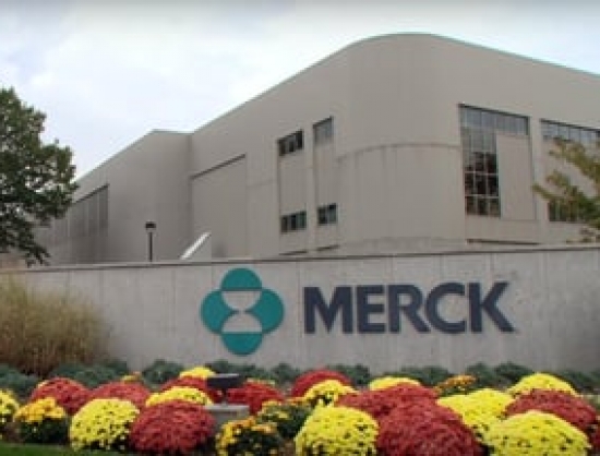 Merck & Co to add 100 new jobs as part of Irish expansion - Global Pharma