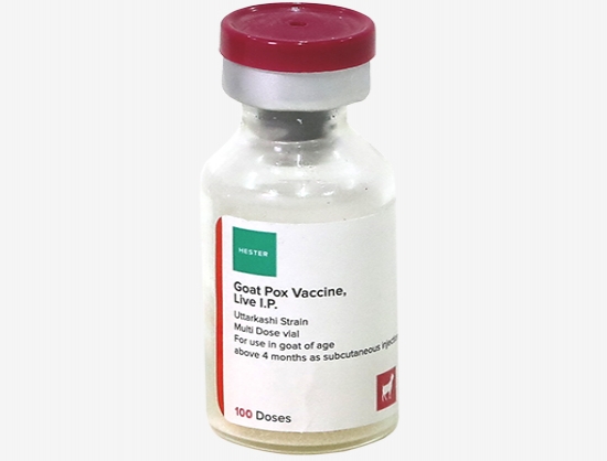 Hester Biosciences plans capacity expansion for goat pox vaccine ...
